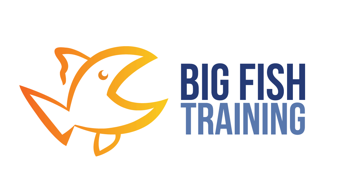 Small Steps for Career Success | Big Fish Training